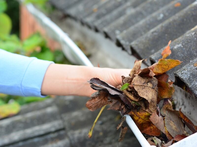 A Guide to Spring Gutter Cleaning | Leafguard